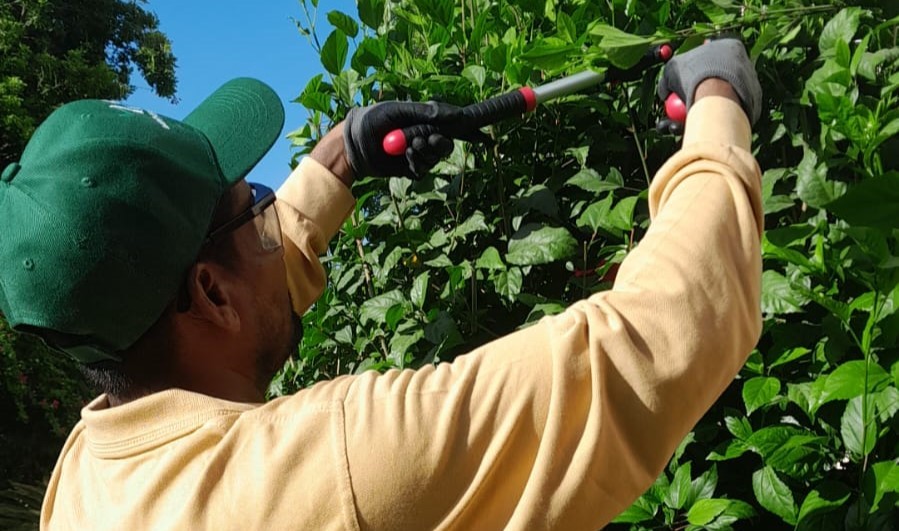 MACC | MACC Paid Services | Modern Architecture Contracting Company